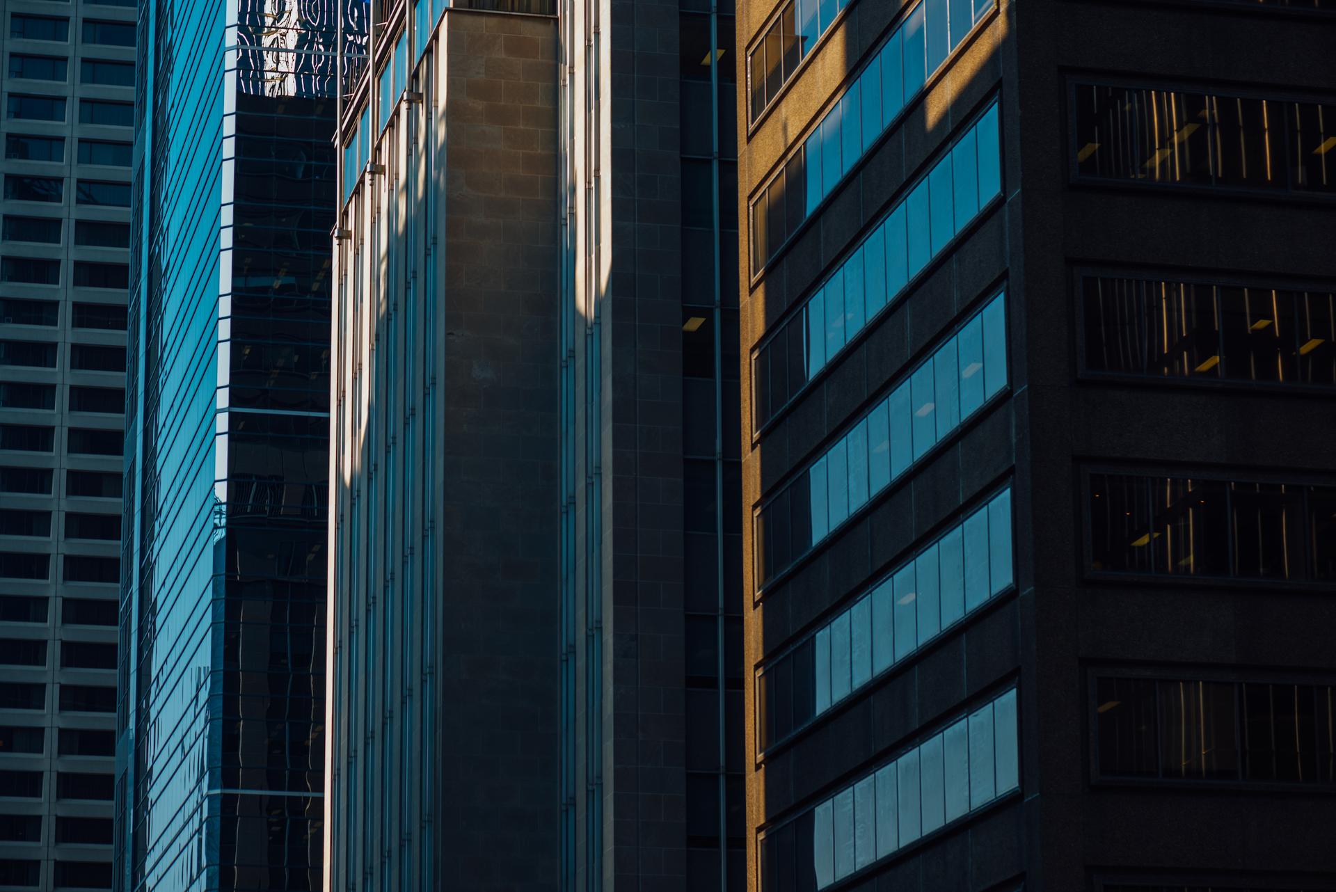 Everfox Global Partner Program